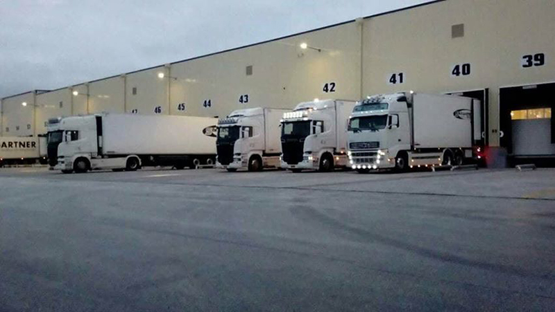 Sarantis Trans | Μεταφορές & Ψυγειομεταφορές Λάρισα - 4 Όροι
